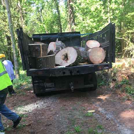 Kelly's Tree Service Southern MD - Tree Removal Company